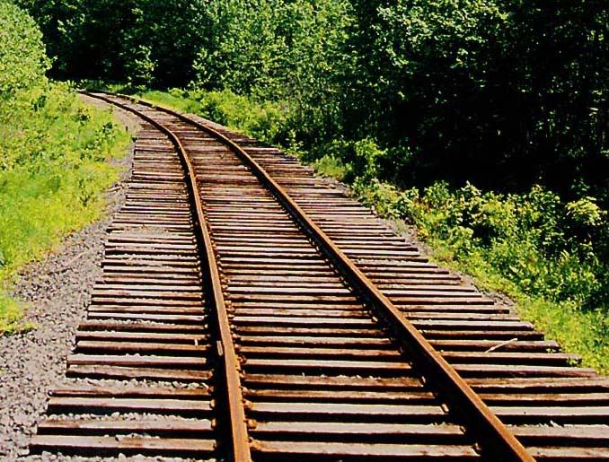 Building a marsh question - Layouts and layout building - Trains.com Forums